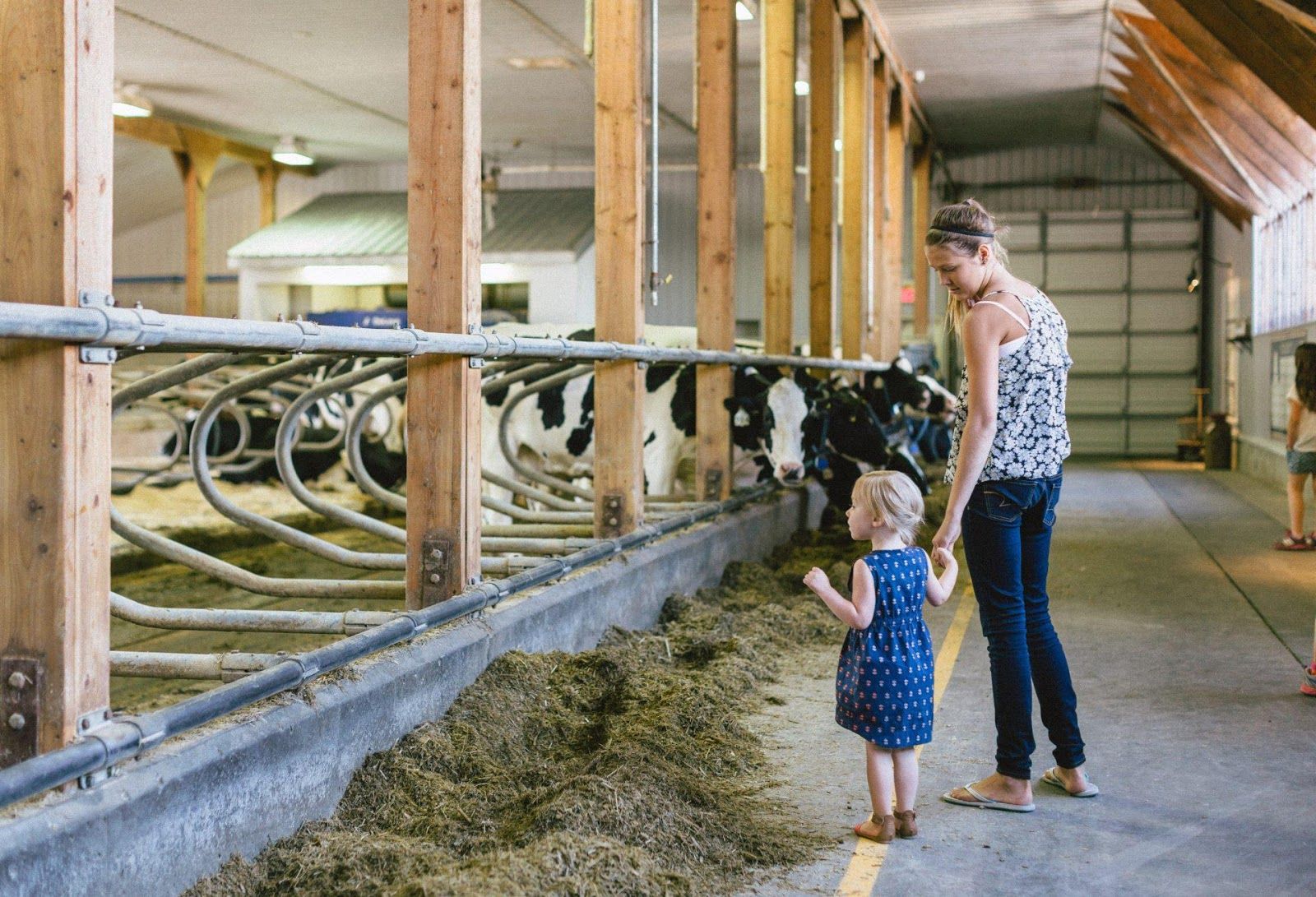 Interactive farmhand experience lets visitors to see for themselves ...
