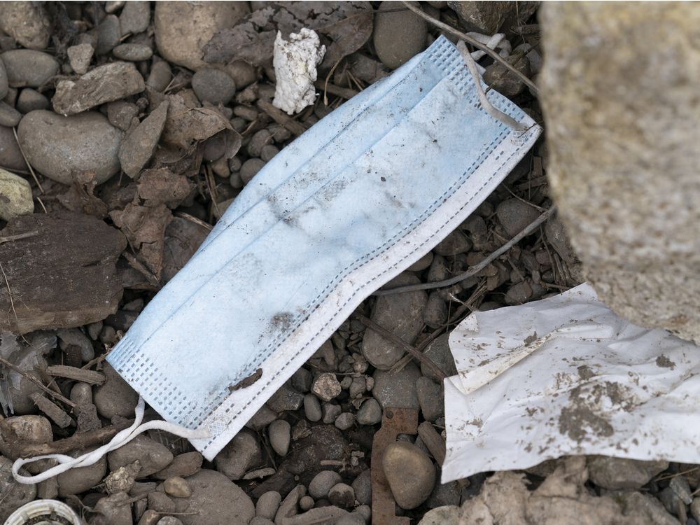 Shoreline cleanup: COVID-related trash increased during the pandemic ...