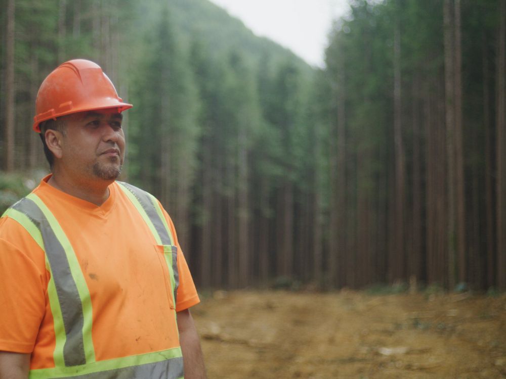 Indigenous stewardship central to Huu-ay-aht forestry partnership ...