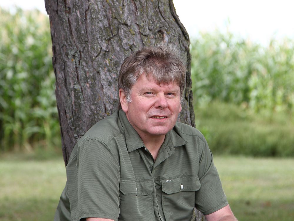 Books: Fungi facts no fable, see its reach across the ‘Wood Wide Web ...