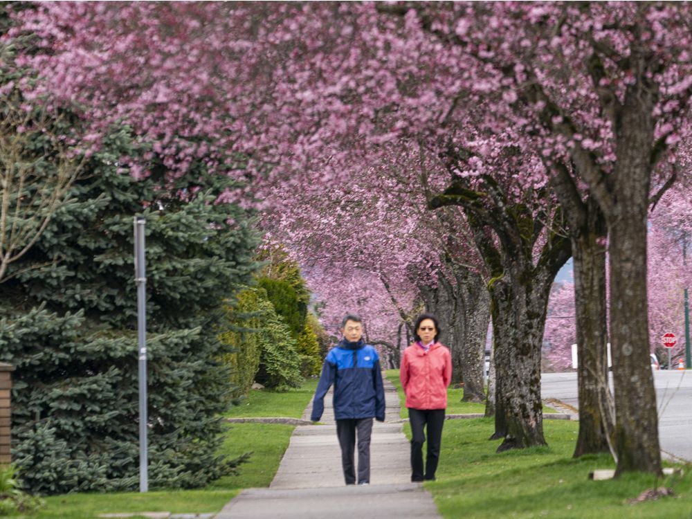B.C. Weather: Unusually cold spring a blessing for river forecasters ...