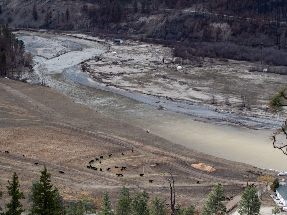High streamflow advisory issued for B.C. rivers | Vancouver Sun