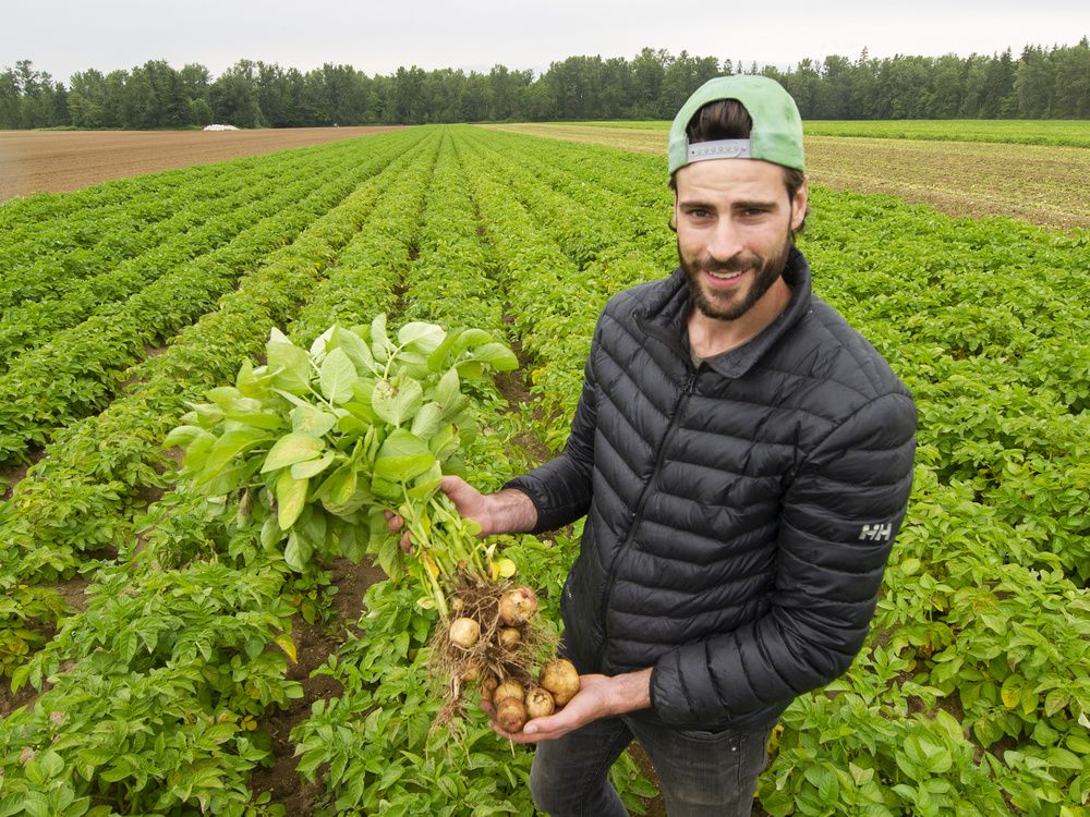 Surrey mayor pledges to protect valuable Surrey farmland | Vancouver Sun