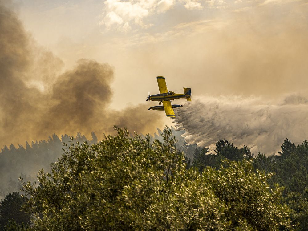 Aircraft experienced engine failure during operations near Cranbrook ...