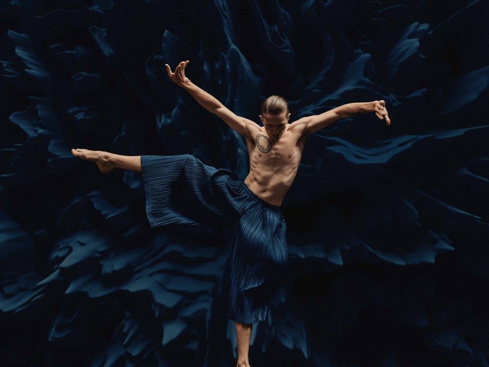 Events in Vancouver: Things to do Nov. 3-9 | Vancouver Sun