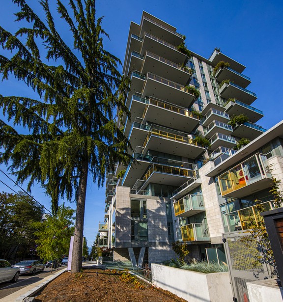 BC mom of man who died after Surrey escort encounter wants justice ...