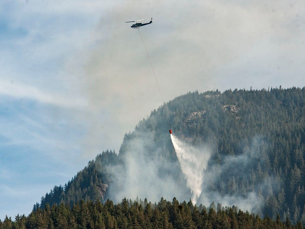 West Vancouver firefighters respond: Wildfire near Cypress Falls Park ...