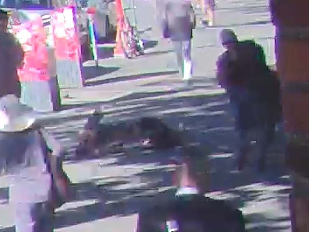 Vancouver Senior 93 Breaks Hip In Stranger Assault In Chinatown Vancouver Sun 4984