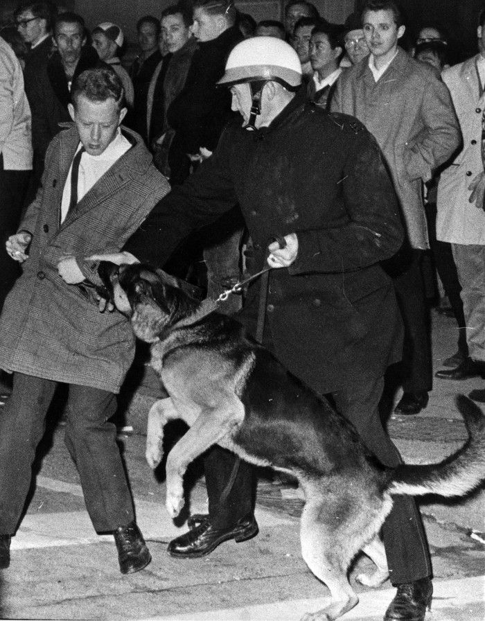 This Week in History, 1966: The Grey Cup Parade turns into the Grey Cup ...