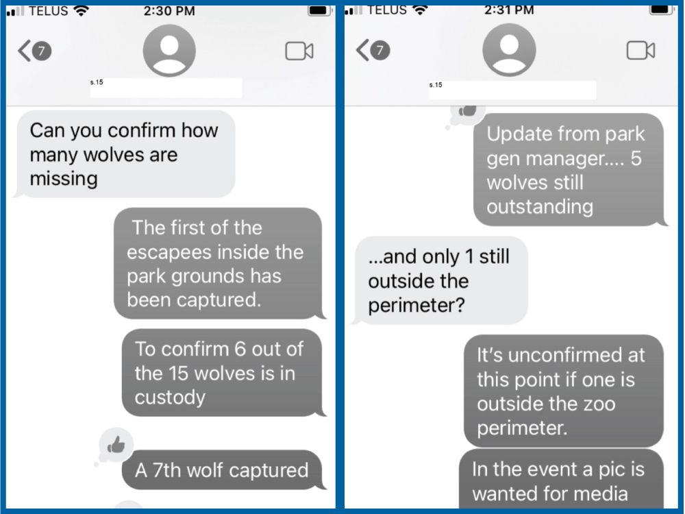 Hole was cut in enclosure housing wolves at Greater Vancouver Zoo ...