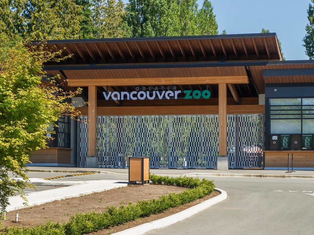 Hole was cut in enclosure housing wolves at Greater Vancouver Zoo ...