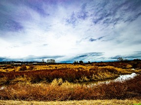 Surrey plans 'living dike' along Mud Bay | Vancouver Sun