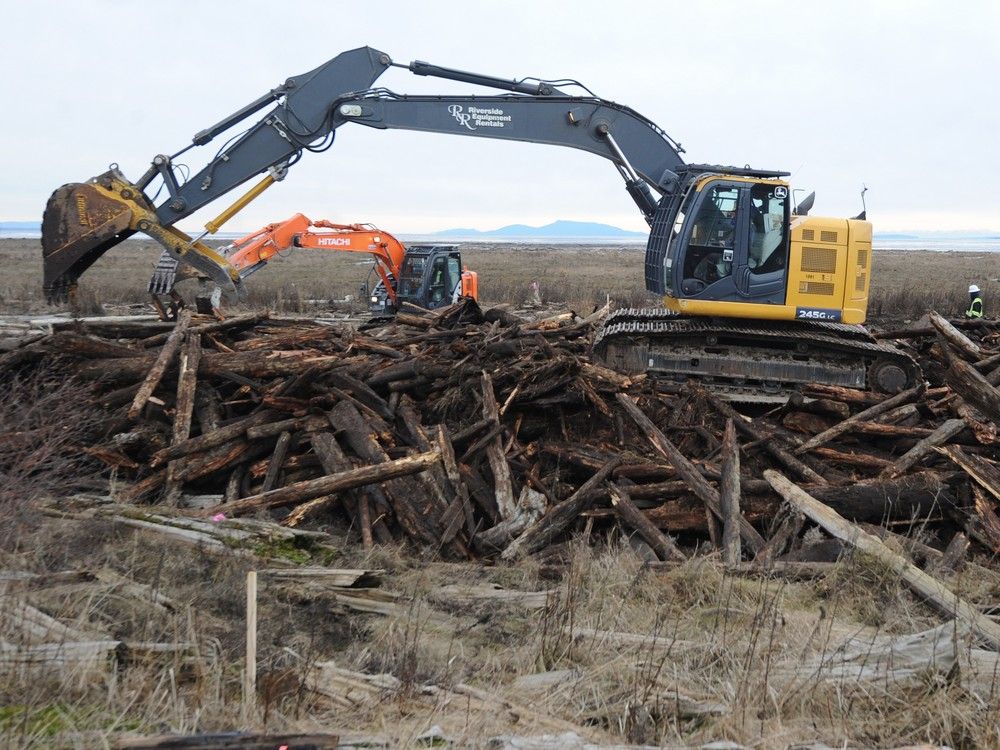 Ducks Unlimited project to boost Boundary Bay's climate resilience ...