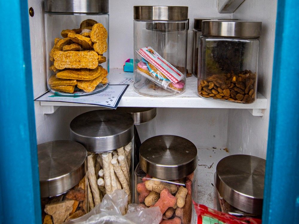 B.C. dog library offering up free toys, treats for 4-legged residents ...