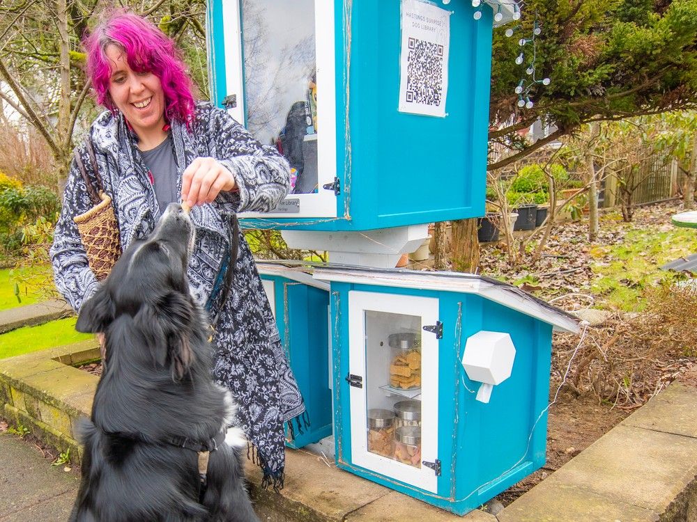 B.C. dog library offering up free toys, treats for 4-legged residents ...