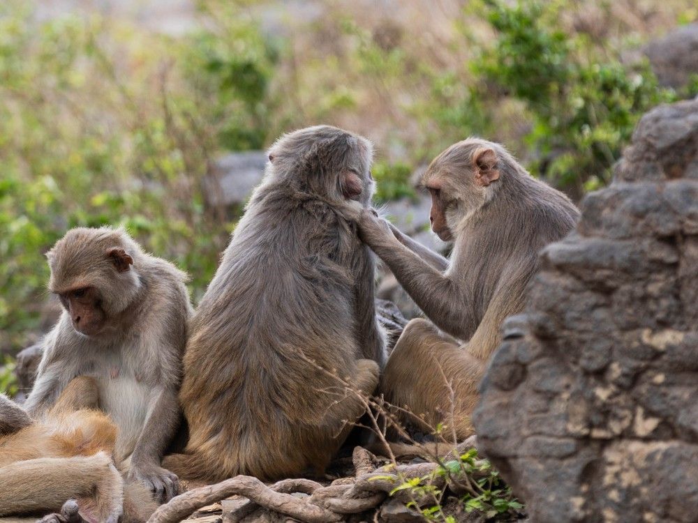 Happy friendships key in Nature of Things' The Secrets of Friendship ...