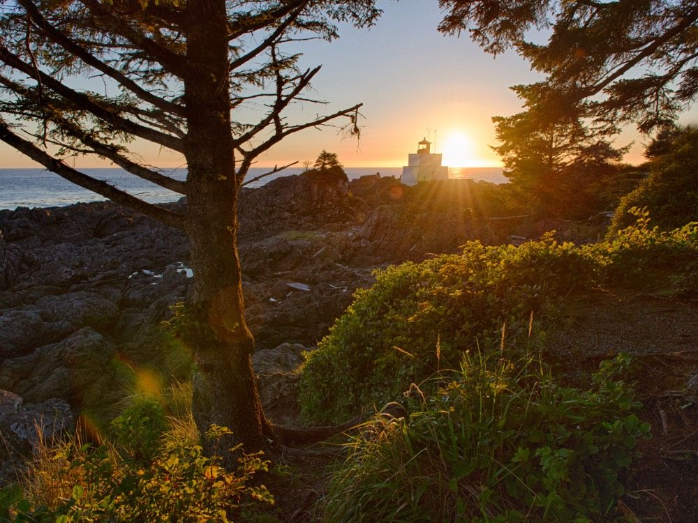 Choose your spring adventure in Ucluelet | Vancouver Sun
