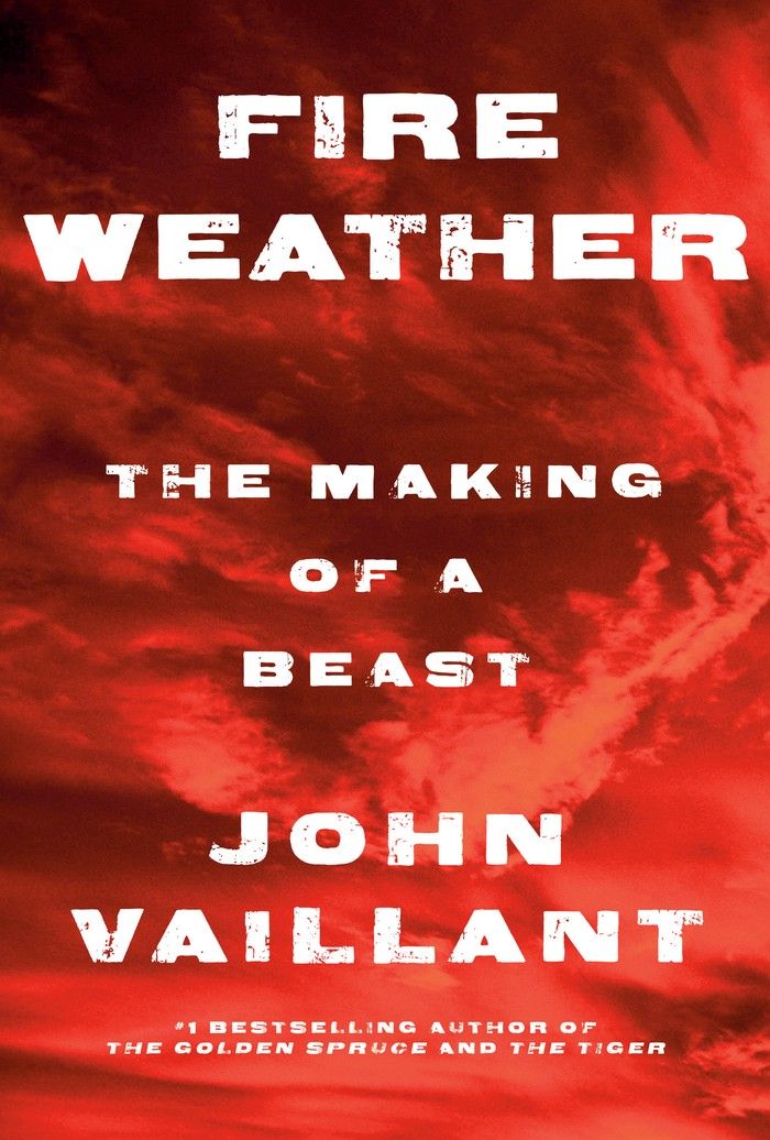 Oscar-winning Vendôme Pictures options John Vaillant's Fire Weather ...