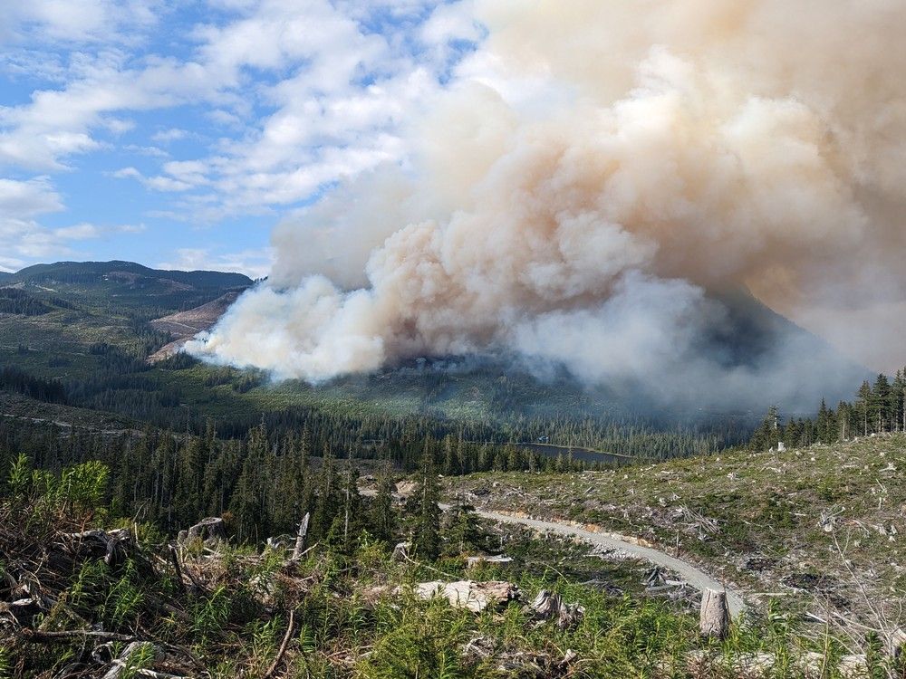 Firefighters, helicopters battle out-of-control wildfire near Sayward ...