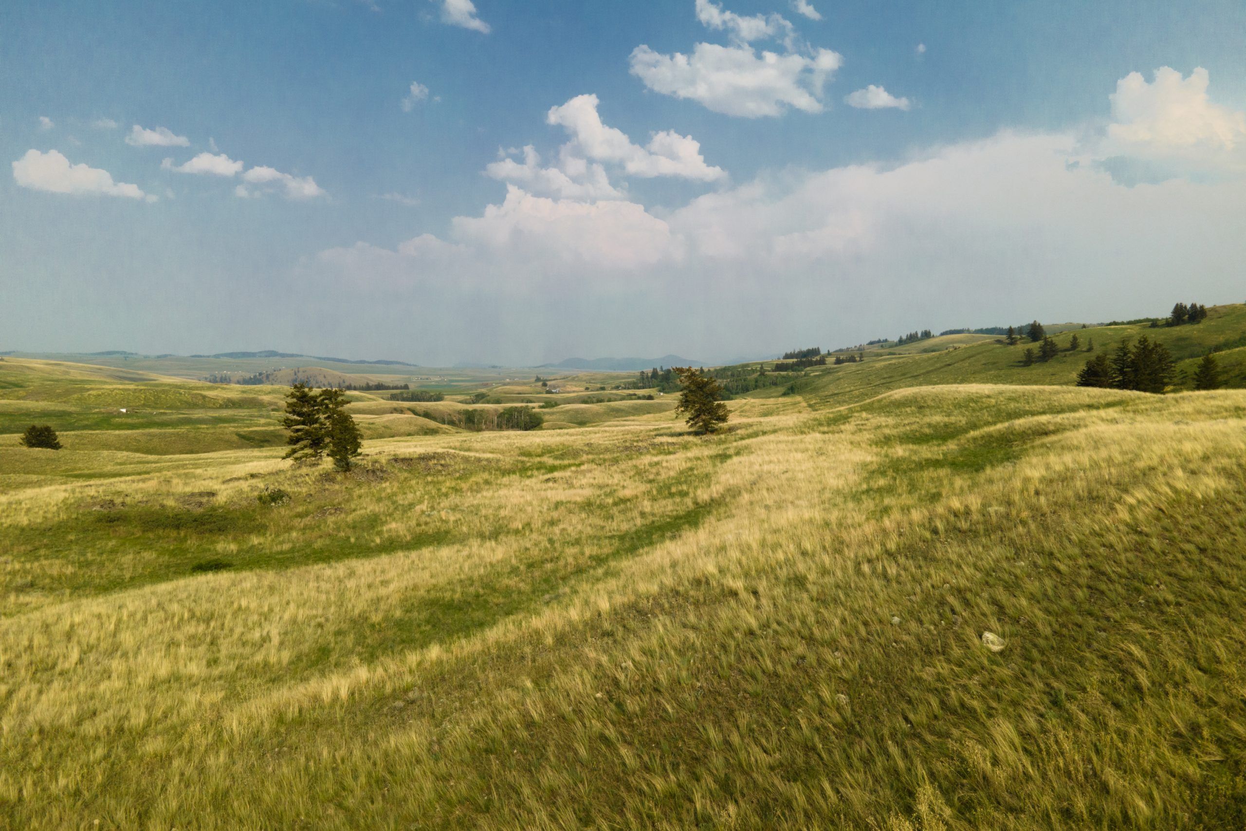 Sprawling B.C. grasslands near Kamloops swept up in push for parks ...