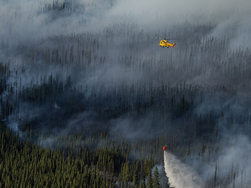B.C. must change forest strategies or face more wildfires: report ...