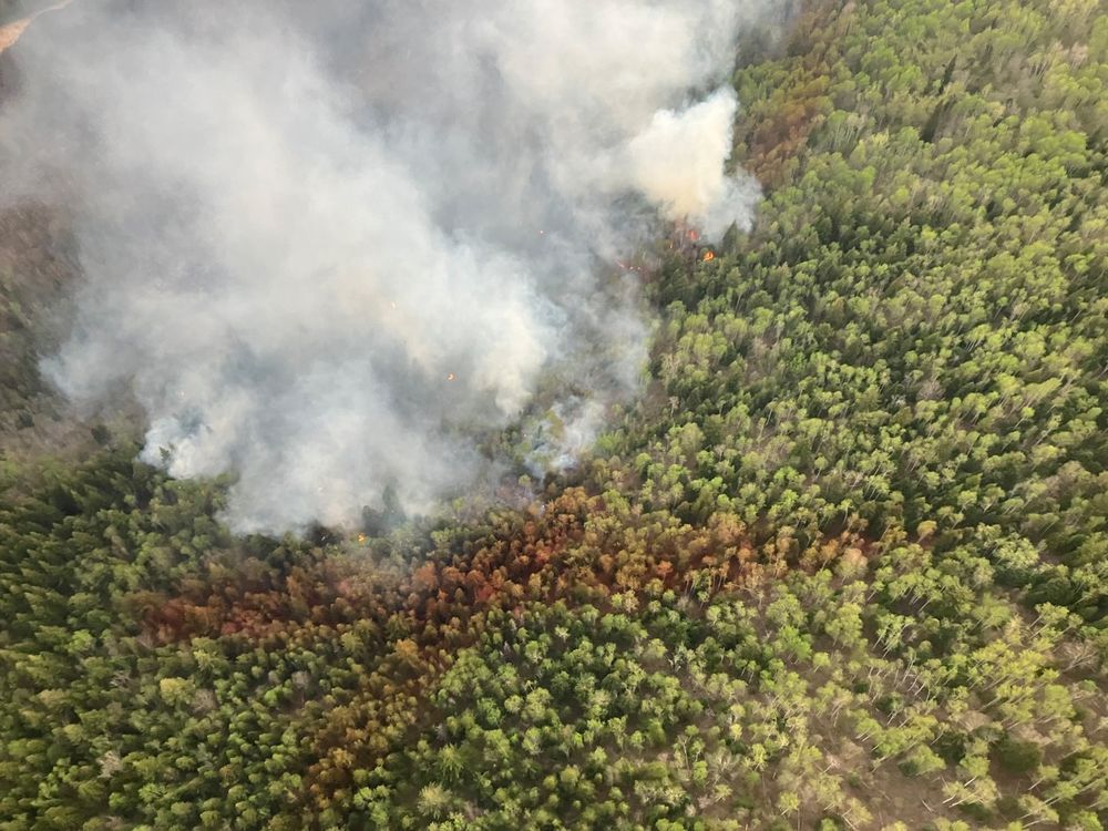 Spallumcheen orders evacuation for as lightning triggers fire ...