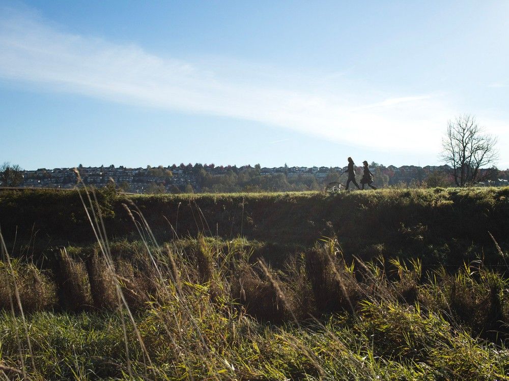 Colony Farm Regional Park renamed to honour Indigenous history ...