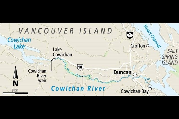 Calls to close Cowichan River to fishing as 'dead zone' forms ...