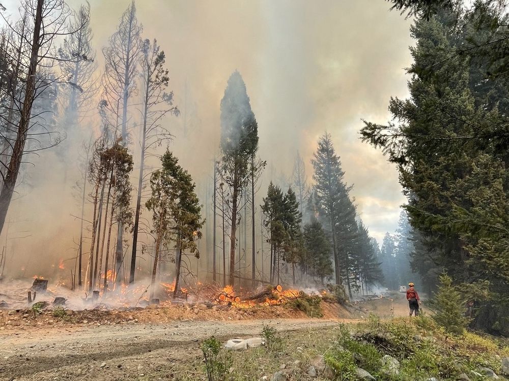 Support staff essential as BC battles most destructive wildfire season ...