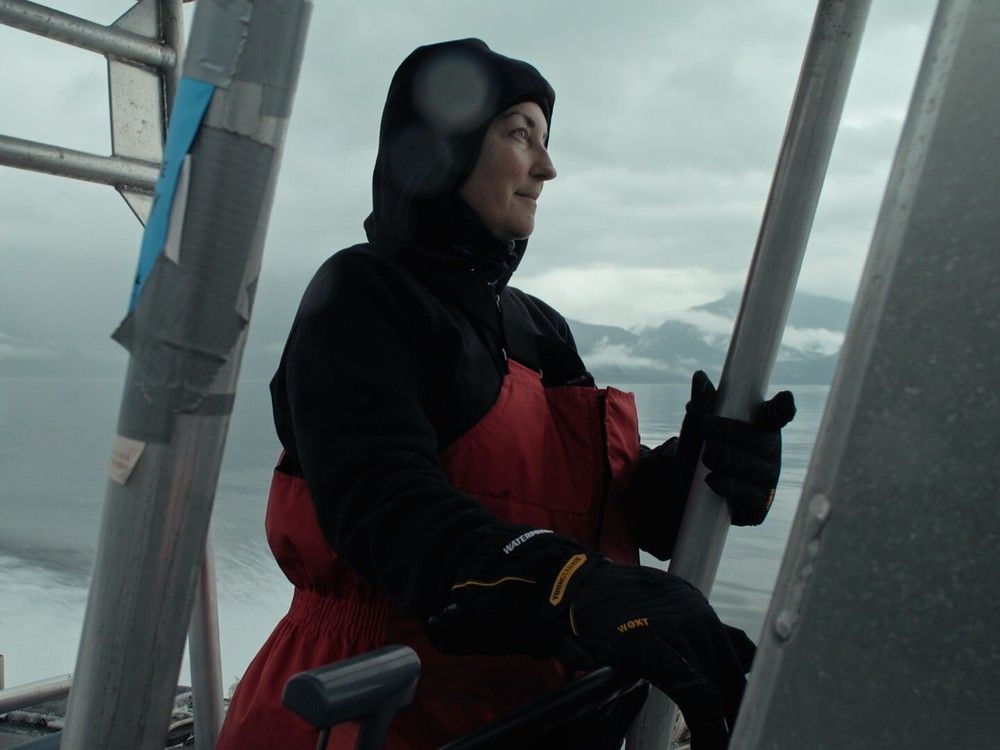 It’s a new season of whale song on B.C.'s West Coast | Vancouver Sun