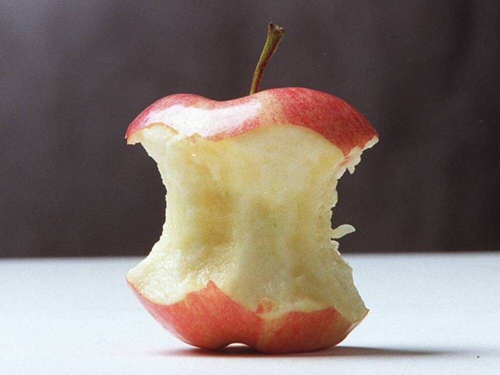 Jane Macdougall: The Bookless Club and 60 pounds of apples | Vancouver Sun