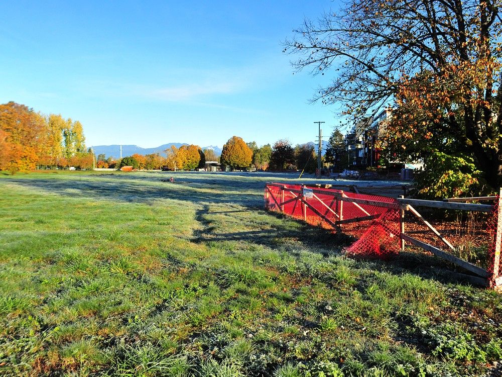 Little Mountain developer says social housing stalling condo ...