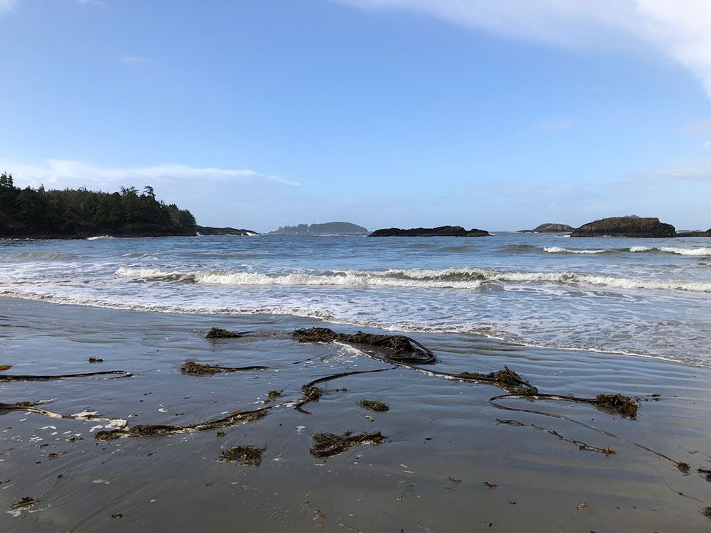 Petition calls for return of Indigenous name for Tofino beach ...
