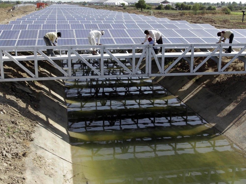 Here are 10 positive environmental stories from 2023 | Vancouver Sun