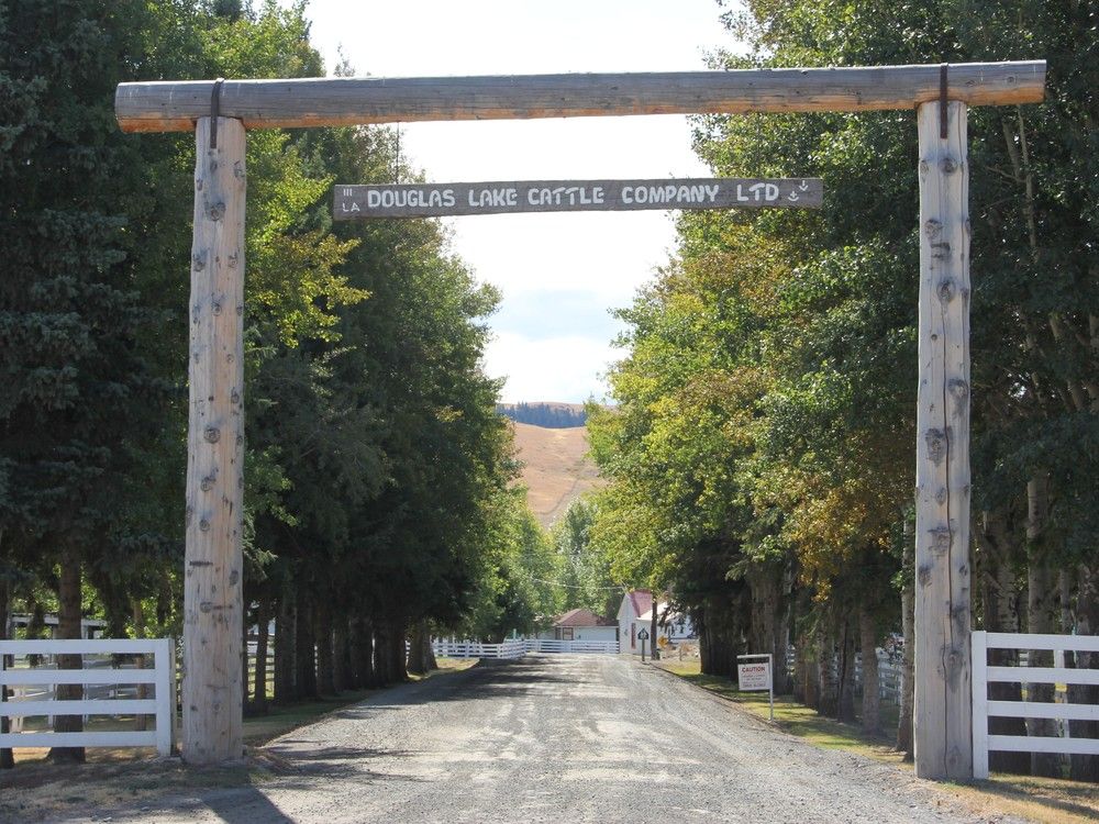 Book takes reader for a ride through B.C.'s most famous ranch ...