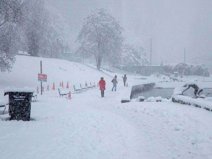 Photos: It's a snow day in Metro Vancouver! | Vancouver Sun