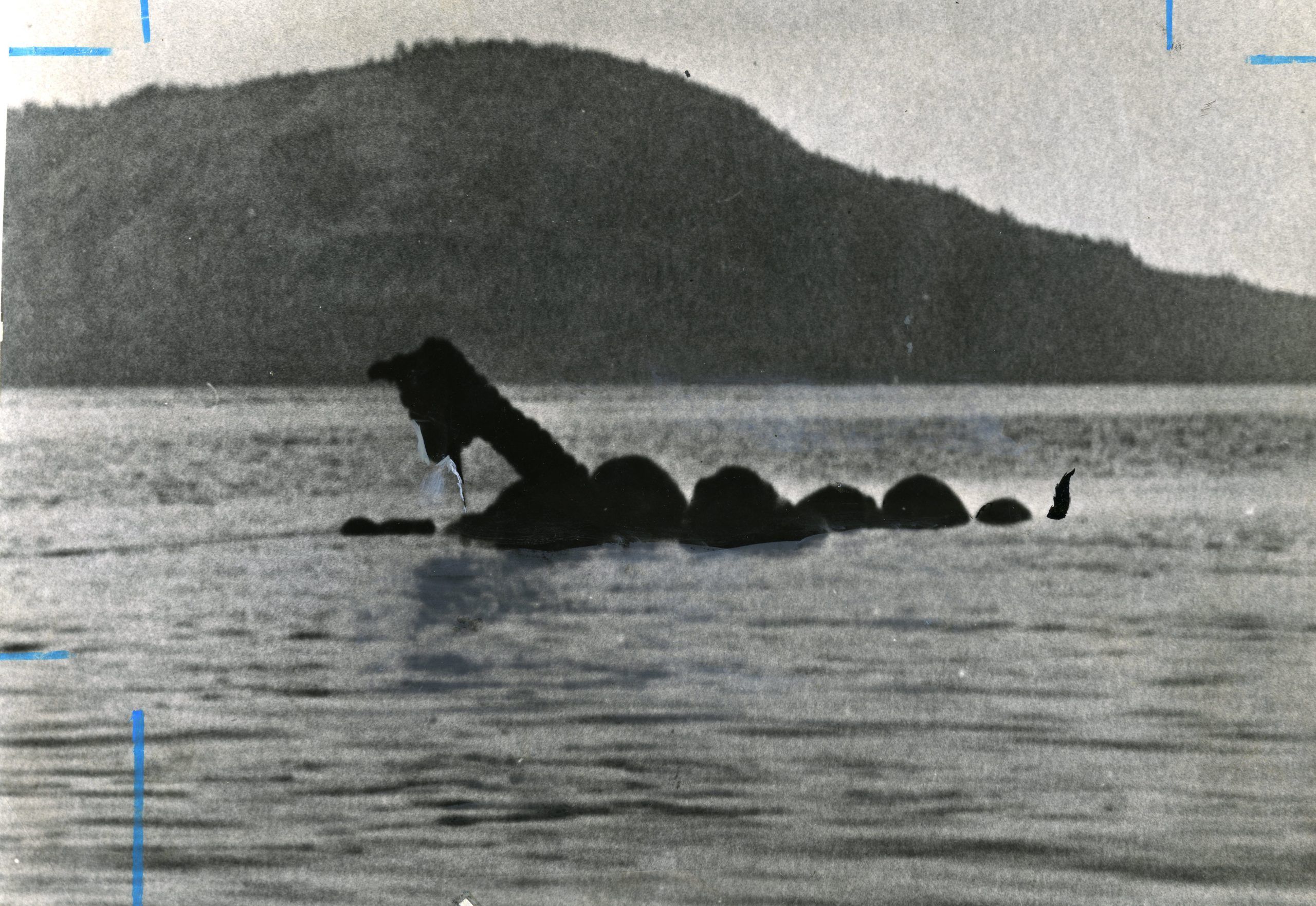 Caddy the Cadborosaurus visits Bowen Island, scares boaters | Vancouver Sun