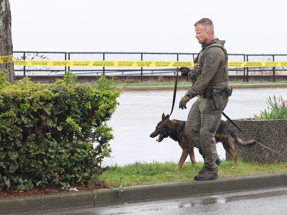 Man dies after second 'terrifying' stabbing in White Rock | Vancouver Sun