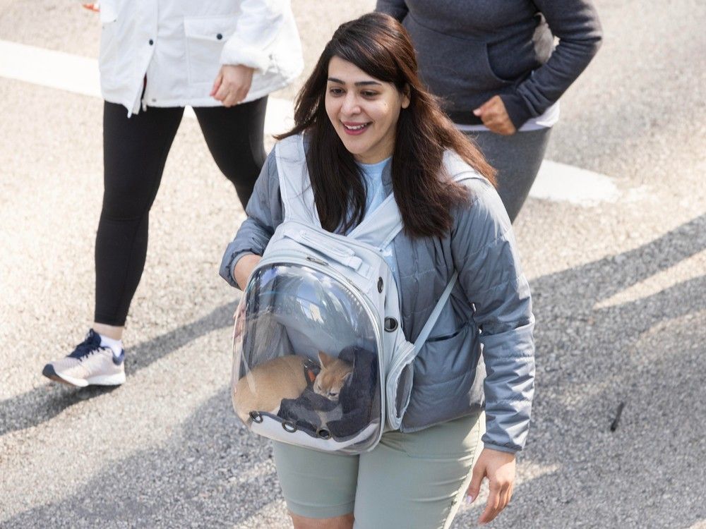 Vancouver Sun Run: Results, photos, news from the 2024 race | Vancouver Sun