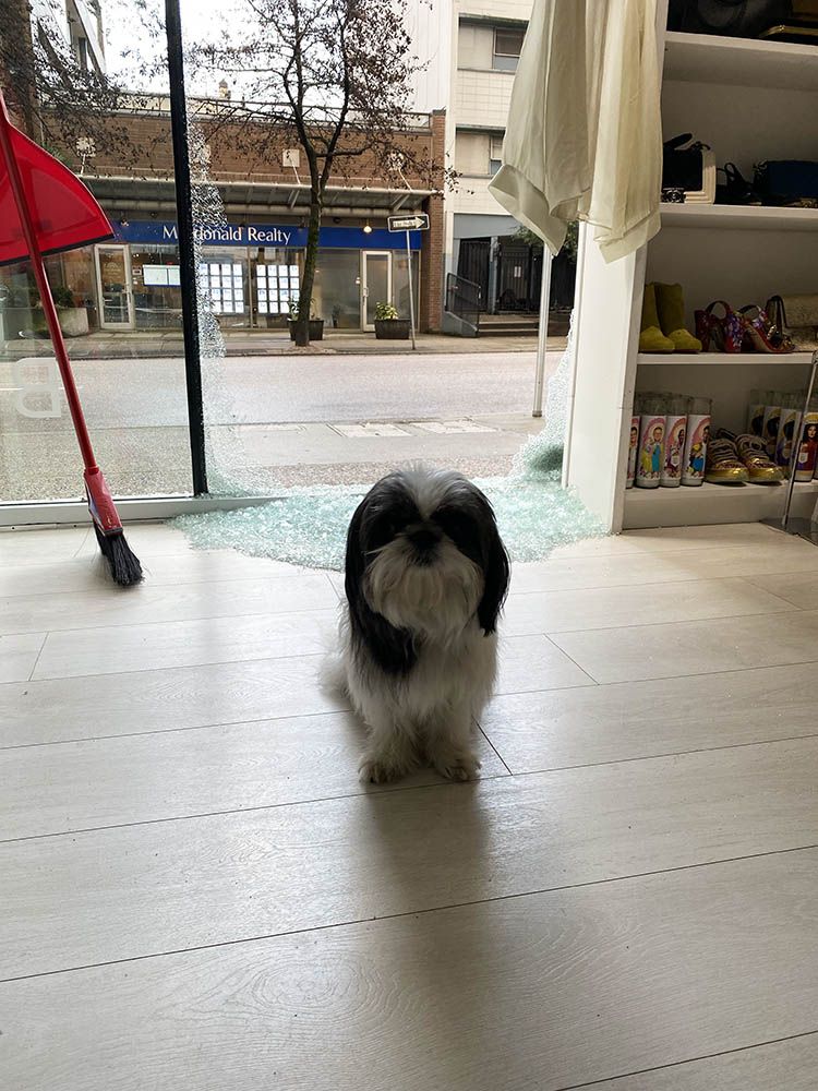 Is downtown Vancouver becoming a retail dead zone? | Vancouver Sun