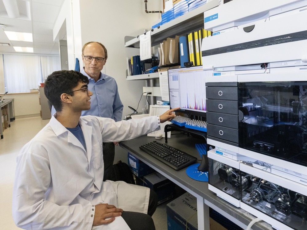 UBC study shows opioids, multi-drug use rising among impaired drivers ...