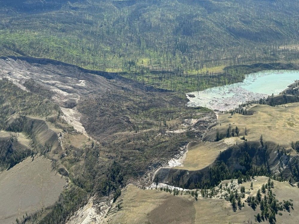 Why the huge B.C. landslide could cause problems for struggling salmon ...