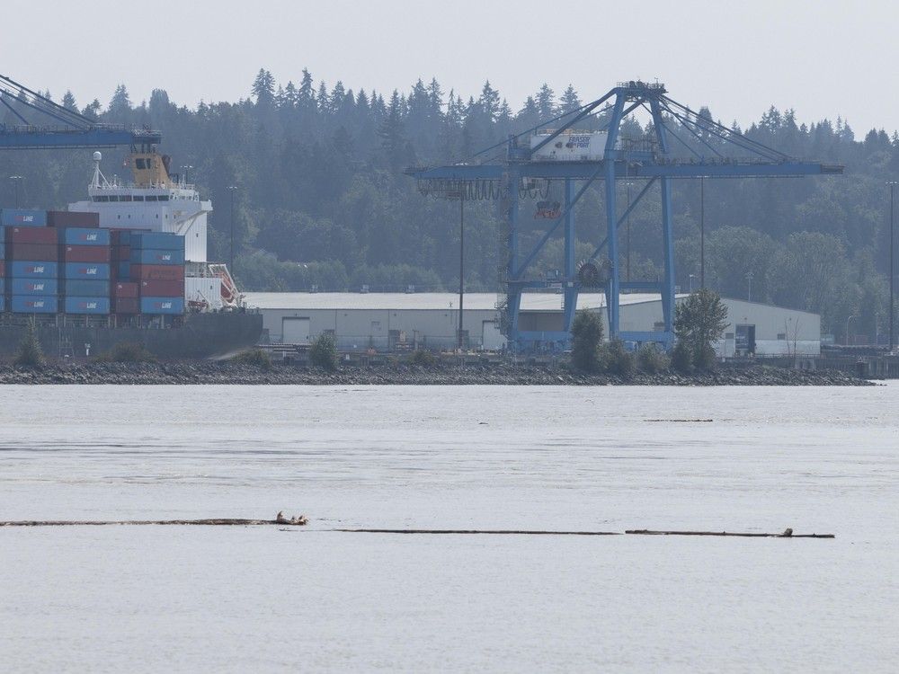 Debris from Chilcotin slide reaches Metro Vancouver and Salish Sea ...