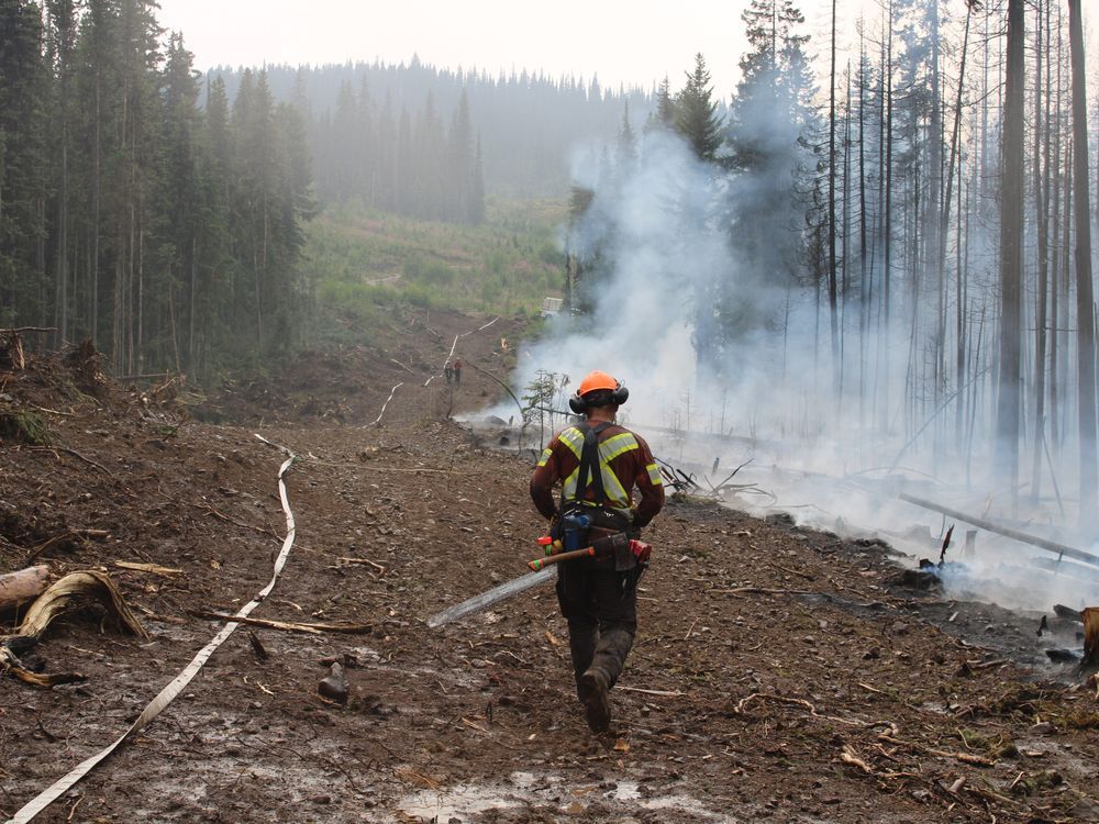 B.C. wildfires: More than 10,000 lightning strikes with more to come ...