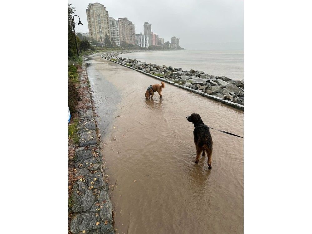 Photos: Flooding waters hit Surrey, Burnaby | Vancouver Sun