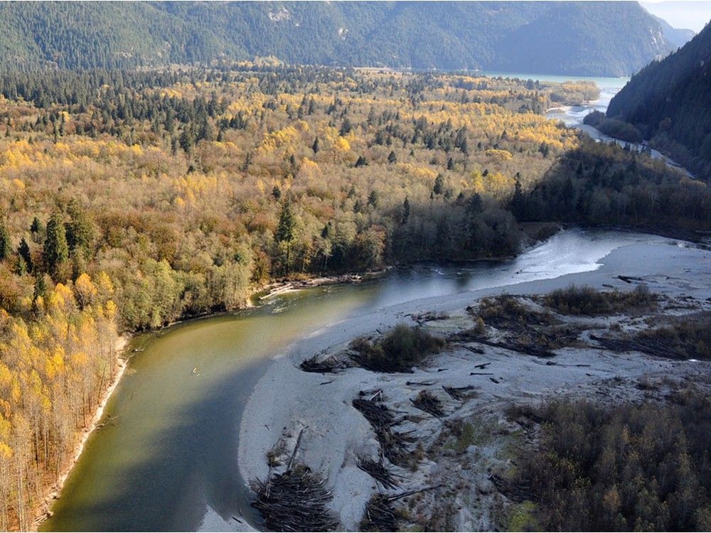 Water again flowing at Red Slough on Pitt River, says First Nation ...