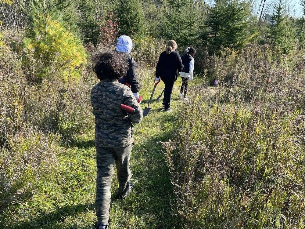 Brian Minter: Ravages of life spark renewed interest in thoughtful ...