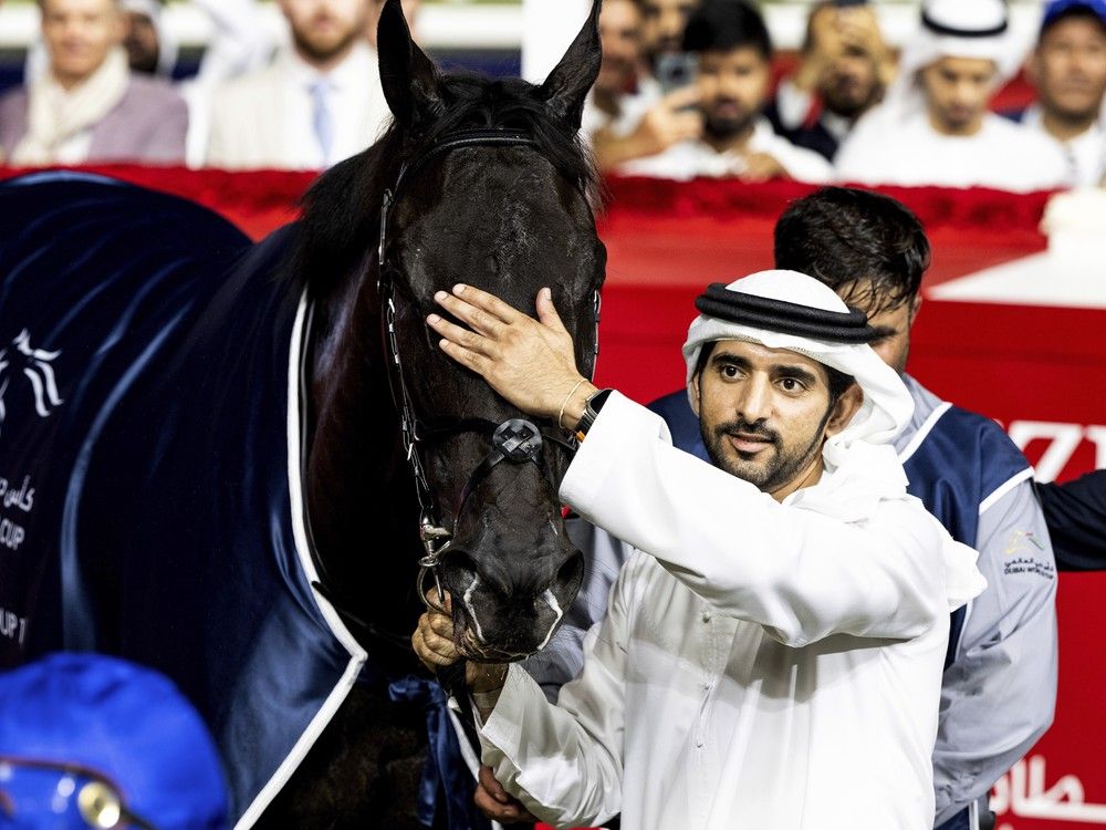 Prince of Dubai puts penthouses at Fairmont Pacific Rim up for sale | Vancouver Sun