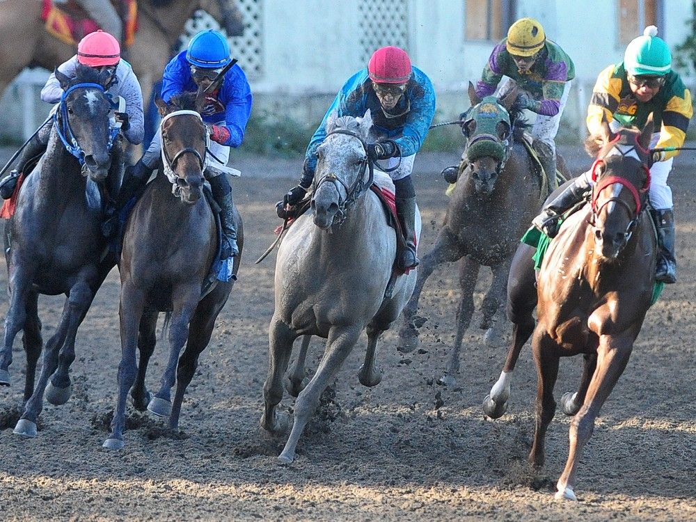 Hastings Racecourse needs help to preserve horse racing in B.C ...