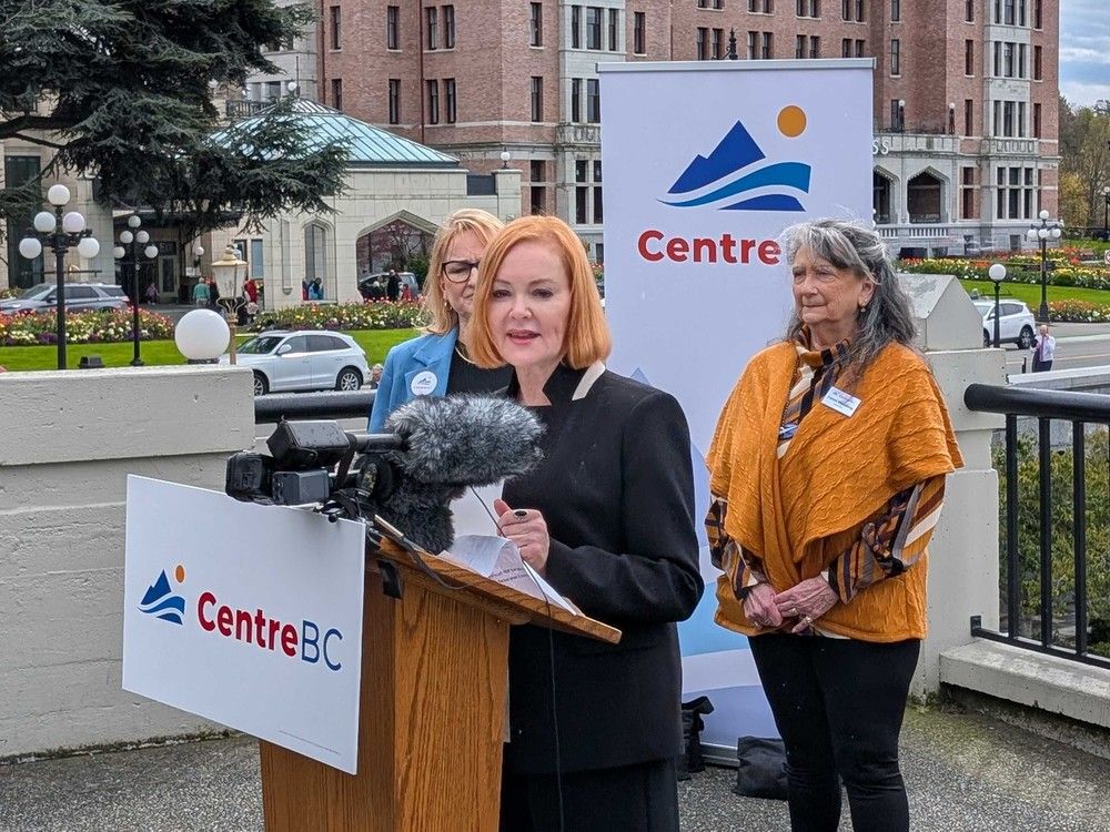 New B.C. political party: Why CentreBC was started and who might vote ...